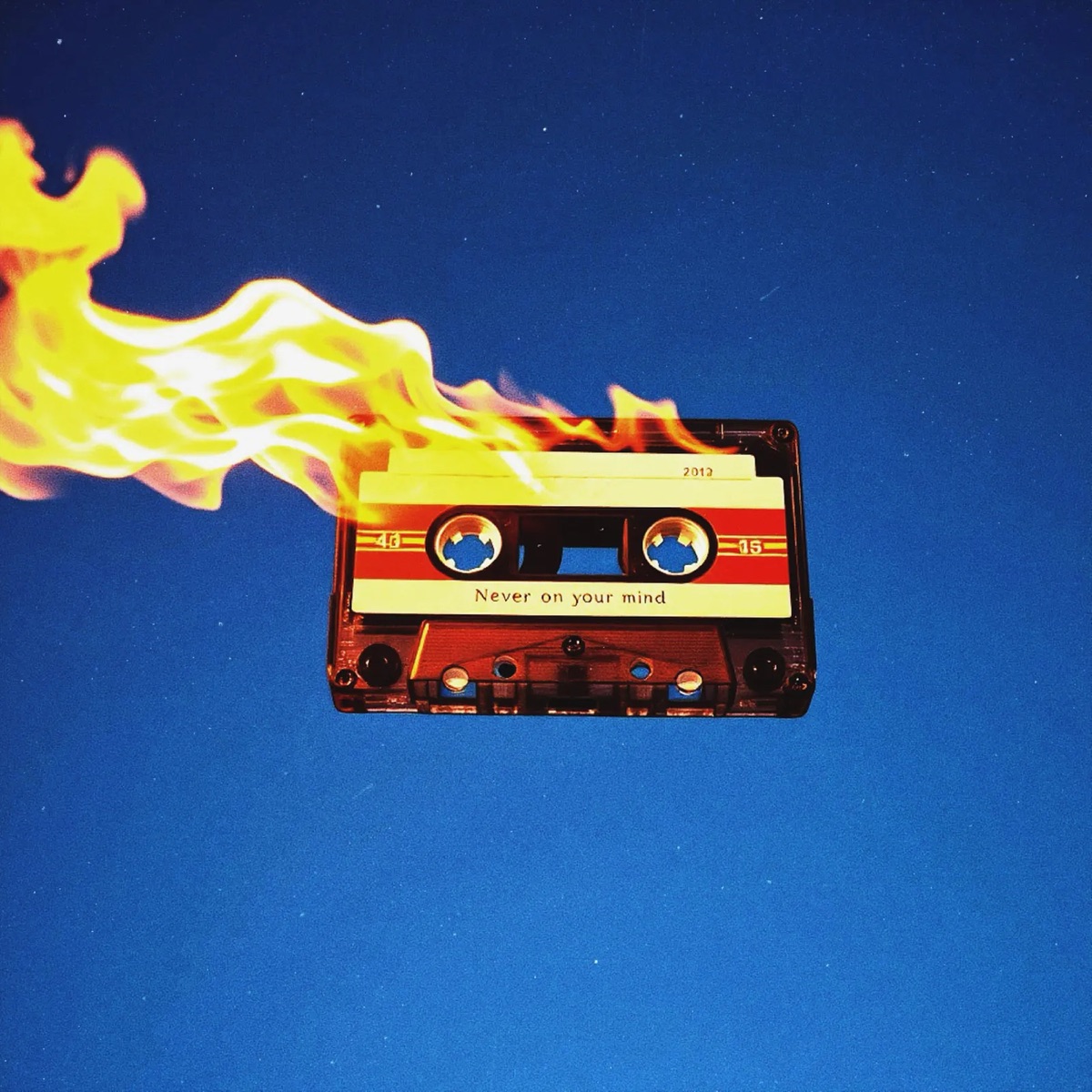 Bobby Priel - Never on Your Mind - Indie Spirits